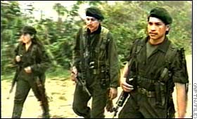 Index of /guerrilla