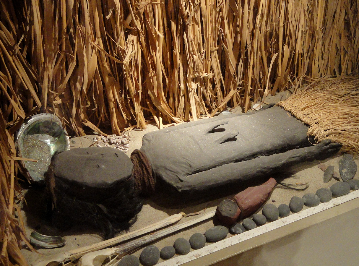 Chinchorro Culture, Chile